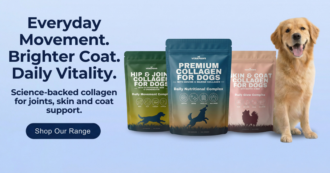 VeraPaws Collagen For Dogs